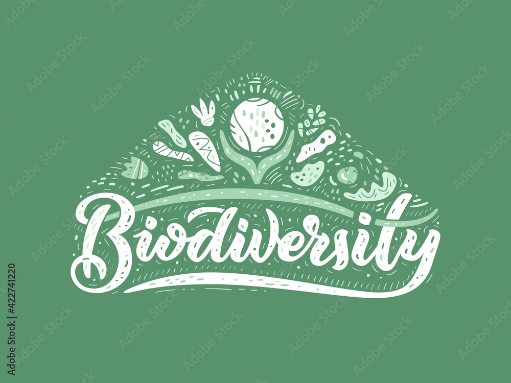 Biodiversity brush lettering decorative word on a green background ...