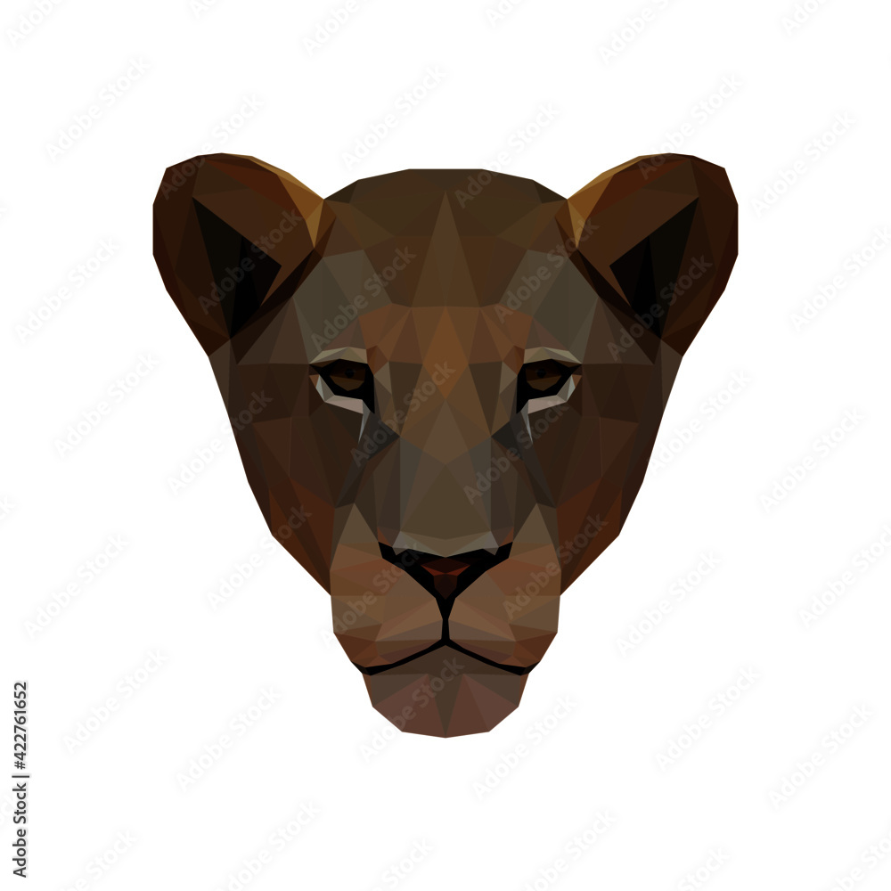 Geometrical, low poly, illustration of a lioness head isolated Stock ...