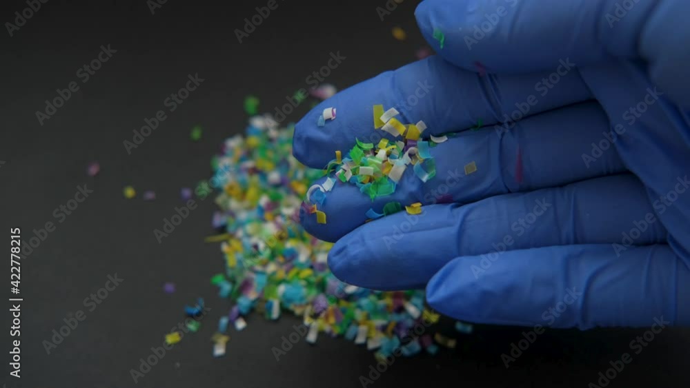 A laboratory worker shows a close-up of microplastic particles on a ...