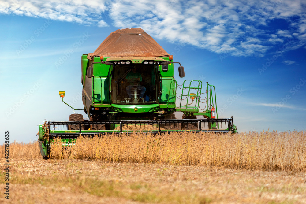 Foto de Agricultural tractor harvesting soybeans in the field ...