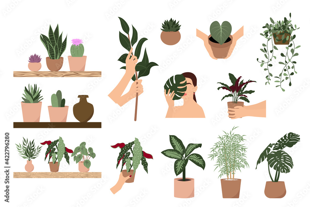 House plants vector illustration set. Indoor plants clipart, plant lady ...