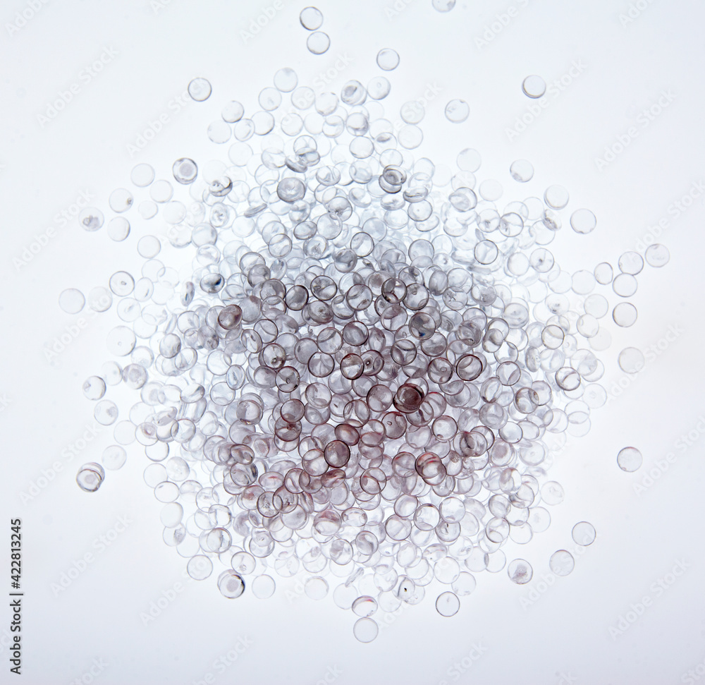 bolas Stock Photo | Adobe Stock