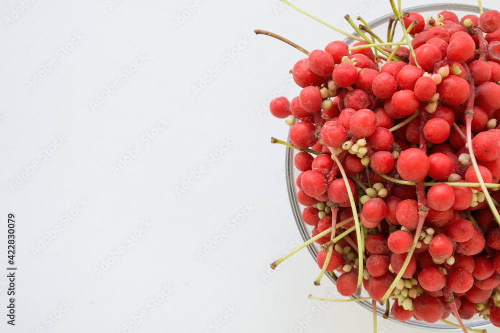 Schisandra chinensis berries in a plate. Clusters of ripe schizandra ...