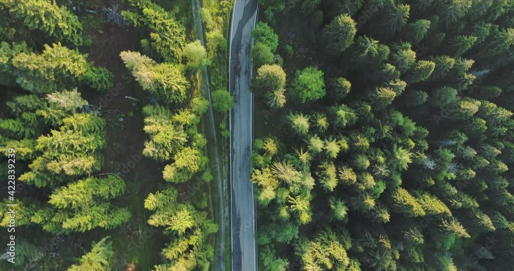 Overhead aerial top view of road in the forest. Flying over the forest ...