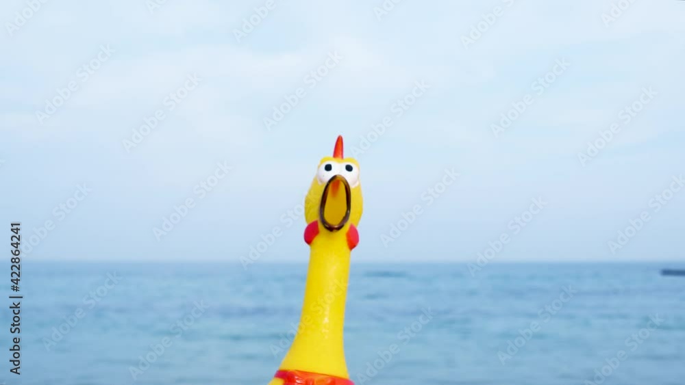Funny and silly playful video of a rubber chicken toy at the beach ...
