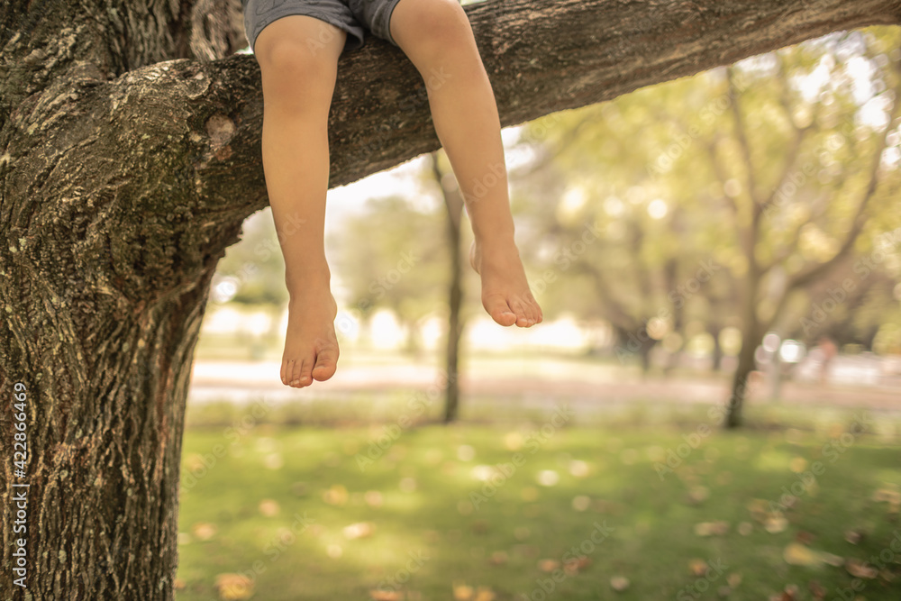 closeup of child's feet relaxing in a tree in nature park setting Stock ...