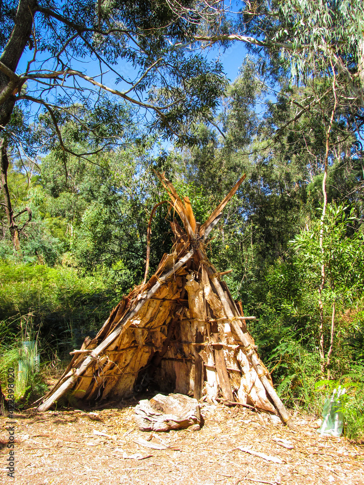A humpy surrounded by bush plants. This temporary shelter is ...