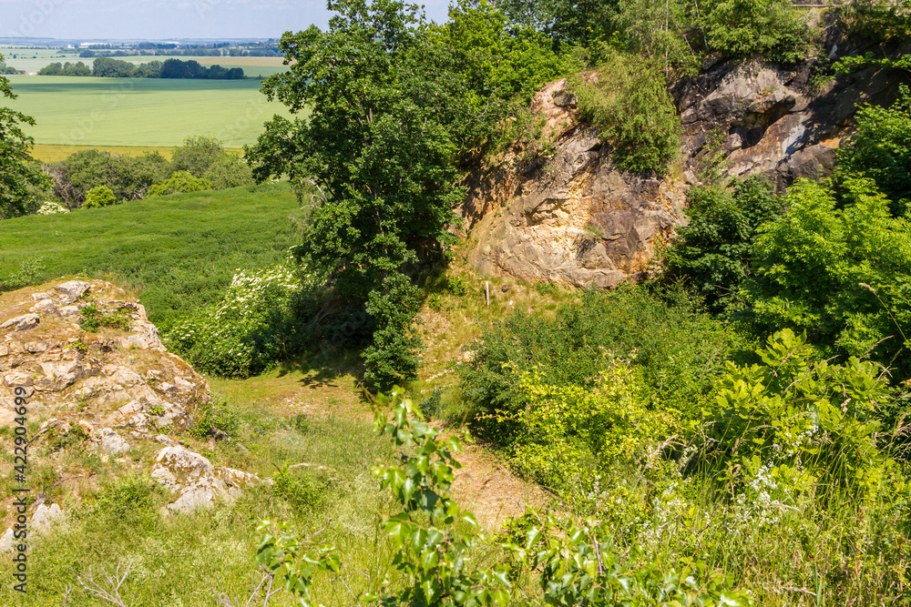 unterwegs auf dem Teufelsmauerstieg im Harz Teilstück Rieder blühende Landschaften Stock Photo ...