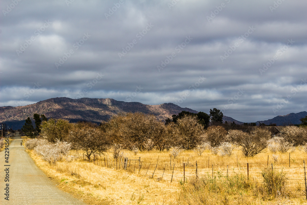 South African landscape - Dry dusty rural Eastern Cape image with ...