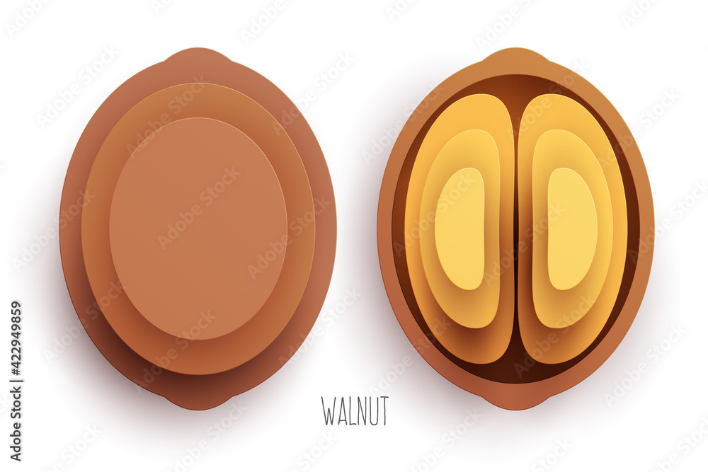Cartoon whole and half walnut in modern geometric 3d paper cut style ...