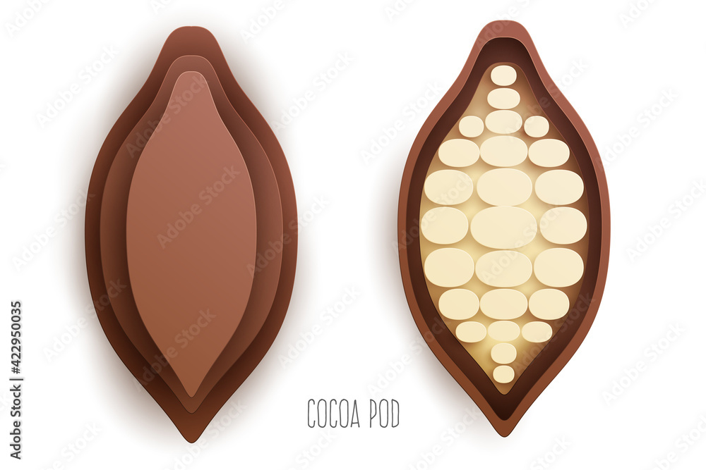 Vecteur Stock Cartoon whole and half cocoa pod in modern geometric 3d ...