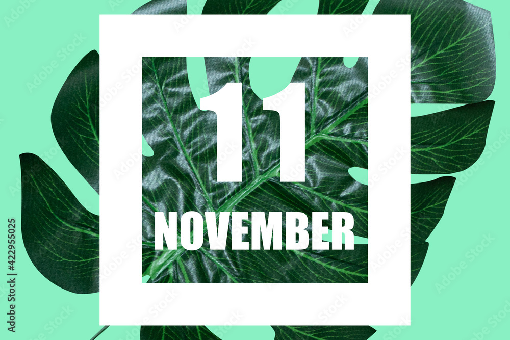 november 11th. Day 11 of month,Date text in white frame against ...