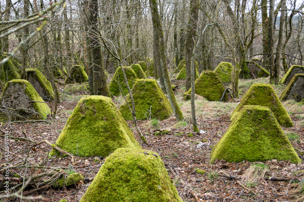 Tank traps from WWII in Germany near the border with Belgium Stock ...