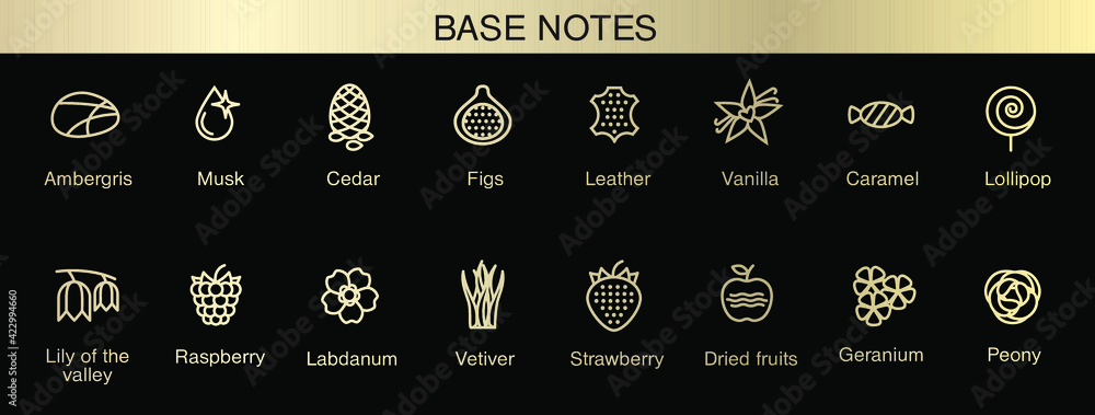Obraz w ramie Vector icons aromas base notes. Top notes pyramid chart ...