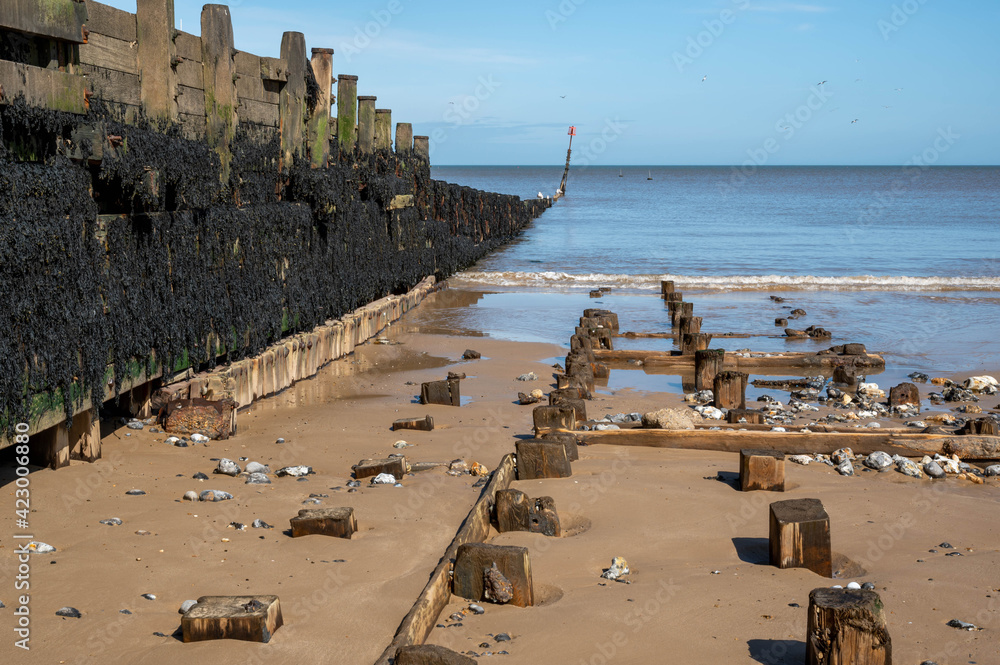 A groyne with black seaweed at low tide with more wooden groynes ...
