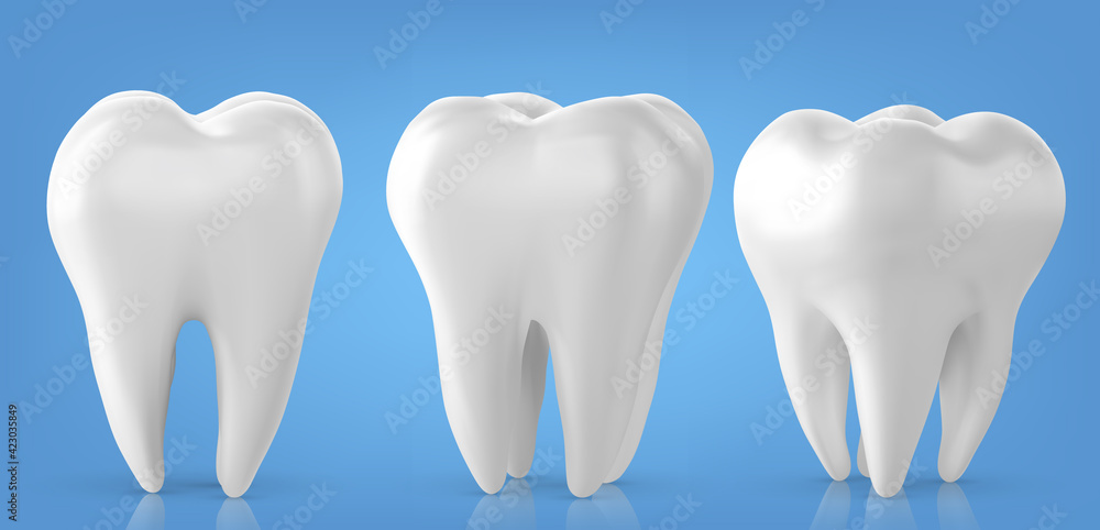 Dental model of a tooth, illustration as a concept of dental ...