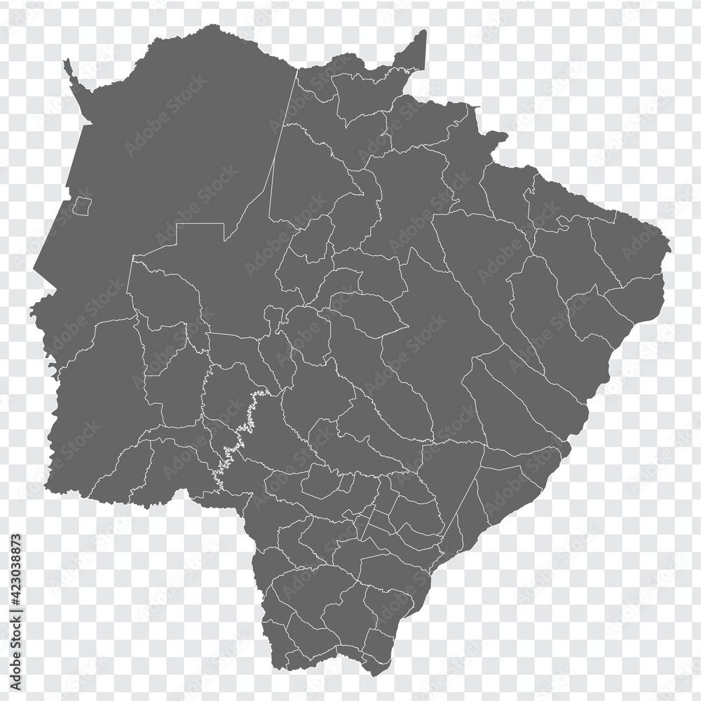 Blank map Mato Grosso do Sul of Brazil. High quality map Mato Grosso do Sul with municipalities ...