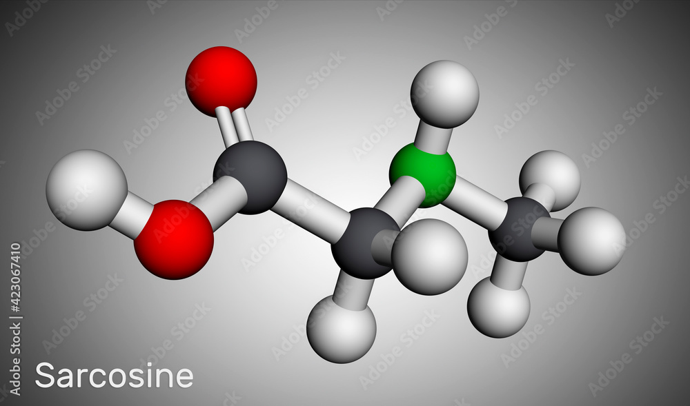 Sarcosine, N-methylglycine, N-alkylglycine molecule. It is amino acid ...