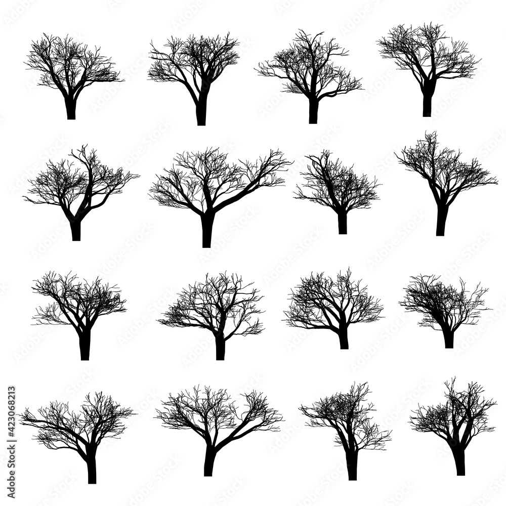 Set of vector trees. Vector tree icon. Tree logo. Vector tree design ...