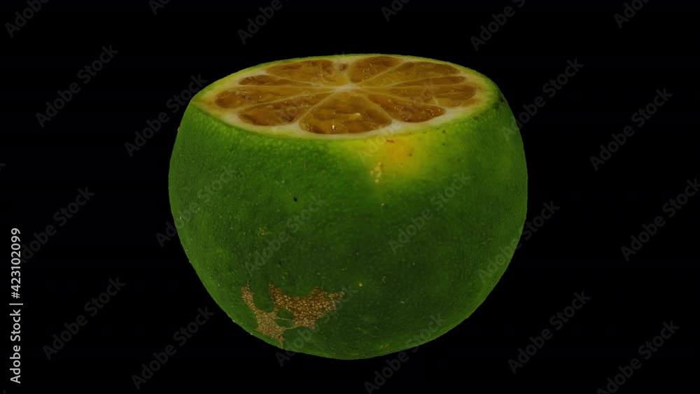 Realistic render of a spinning cut Dalandan Orange on transparent ...