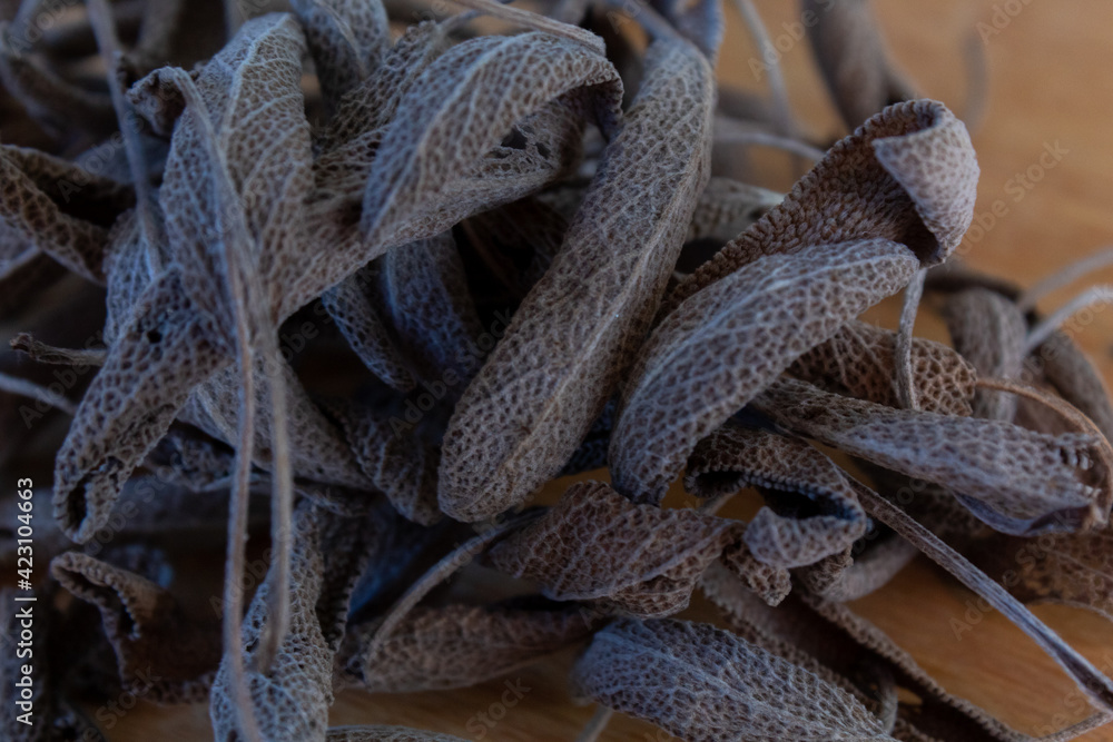 FOLHAS DE Salvia officinalis SECAS EM CIMA DE TÁBUA DE MADEIRA. Stock ...