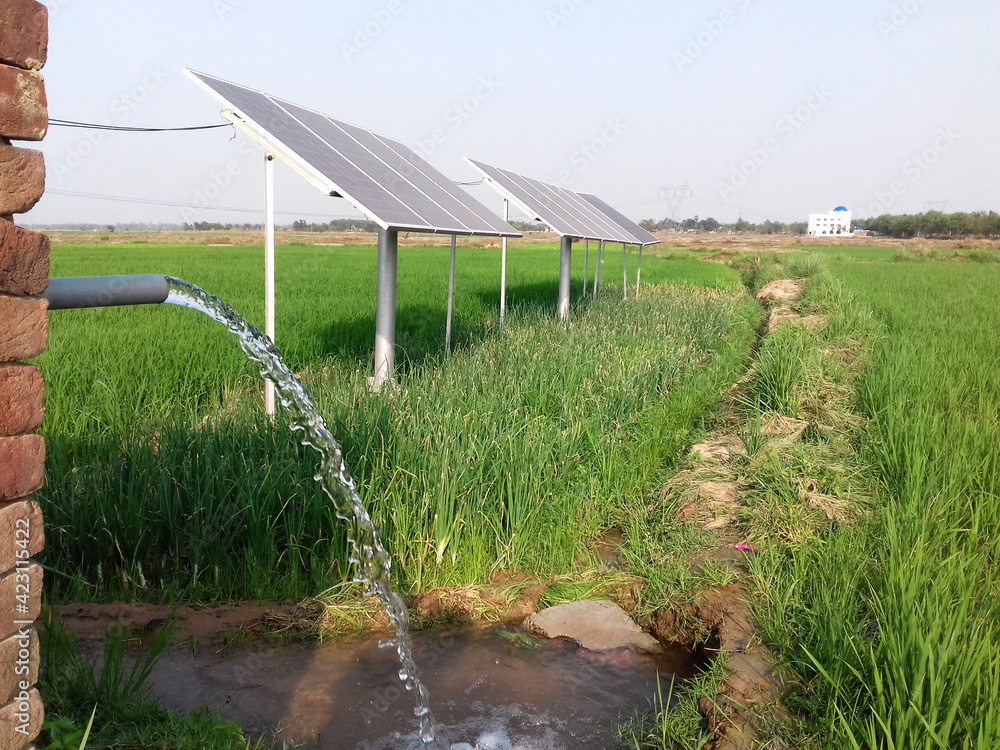 solar panels produce electric which can run submerge water pump for ...