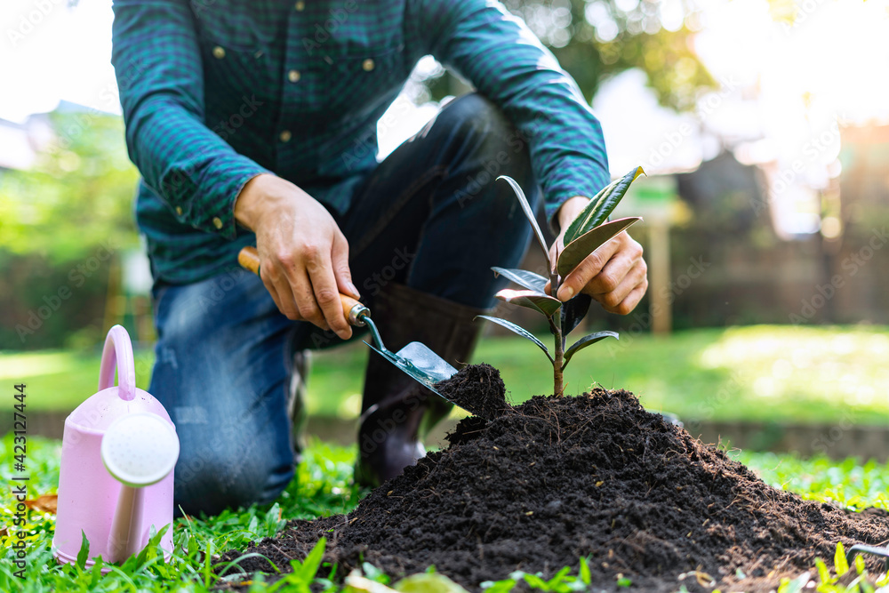 Male doing leisure activities by planting trees, planting trees for ...