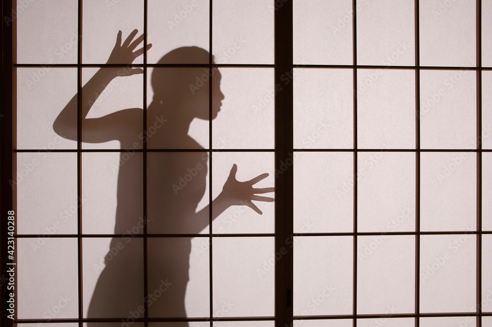 Shadow of lurking woman at shoji doors Stock Photo | Adobe Stock
