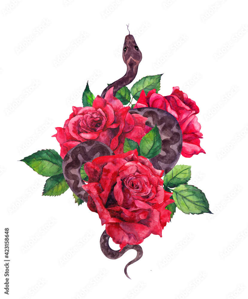 Snake and red roses flowers. Watercolor design for gothic tattoo Stock ...
