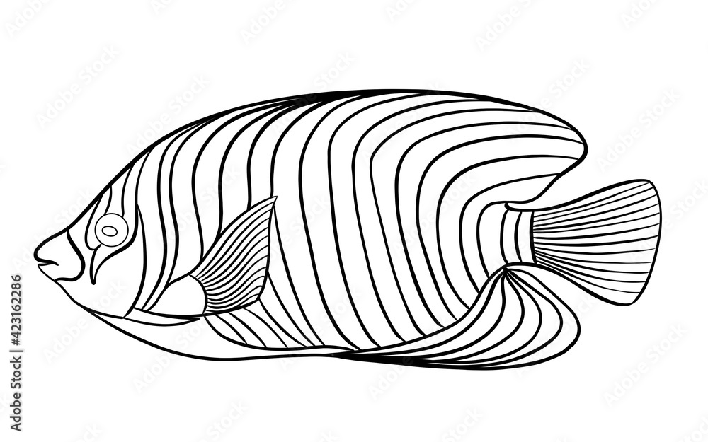 Angel Fish Coloring Pages