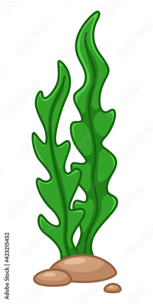 Cartoon seaweed isolated on white background. Stock Vector | Adobe Stock