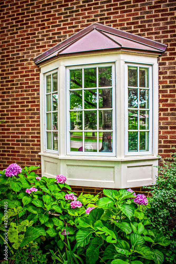 Vintage bay window with copper top reflecting leafy neighborhood - pink ...
