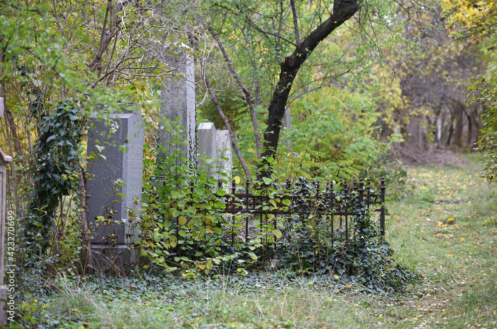 Der 1874 geschlossene und unter Denkmalschutz stehende Friedhof Sankt ...