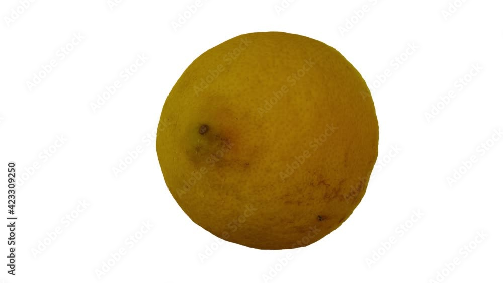 Realistic render of a spinning half Lemon on white background. The ...
