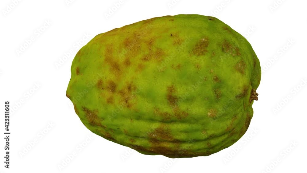 Realistic render of a spinning Native Philippine Lemon on white ...
