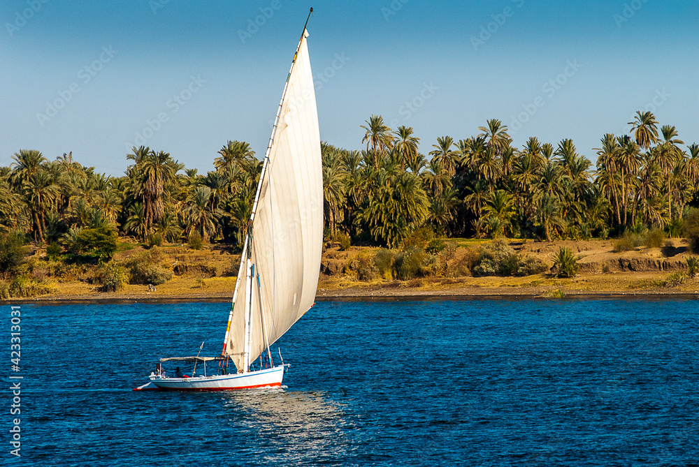 Feluccas are the traditional sailing ships that trade on the River Nile ...