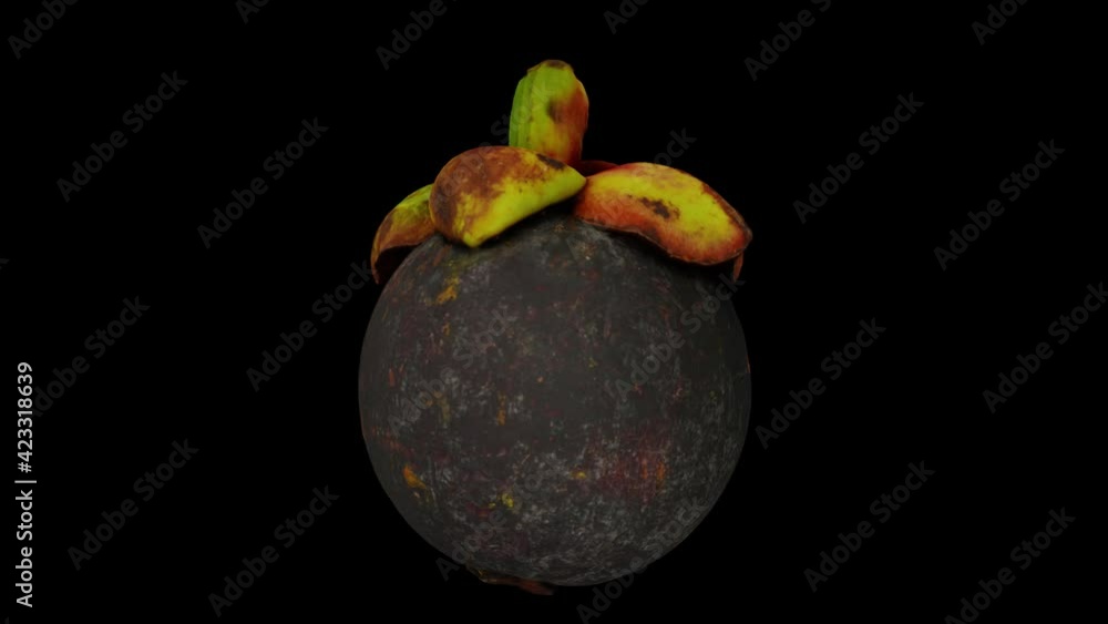 Realistic render of a spinning Mangosteen on black background. The ...