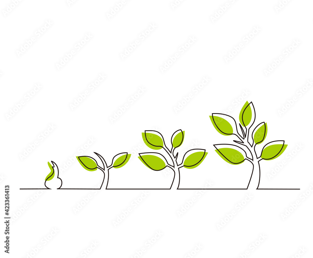 Continuous line drawing of step of tree growth. Tree branch line vector ...