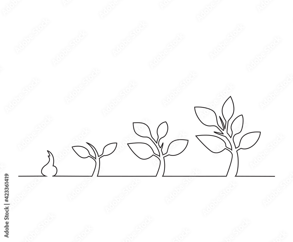 Continuous line drawing of step of tree growth. Tree branch line vector ...