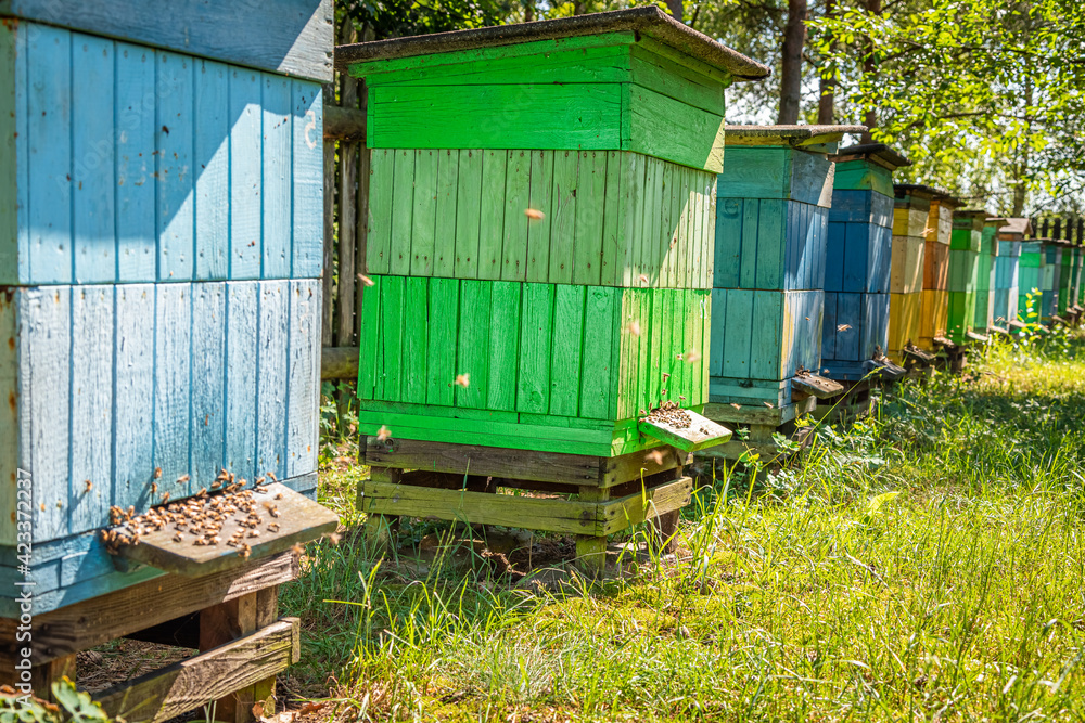 Vintage apiary in a small village. Ecological honey production. Stock ...