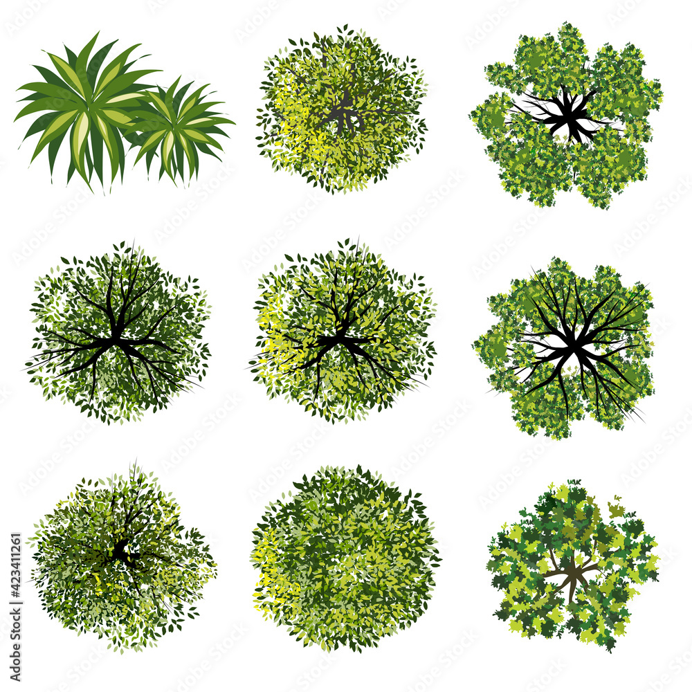 Collection of abstract watercolor green tree top view isolated on white ...