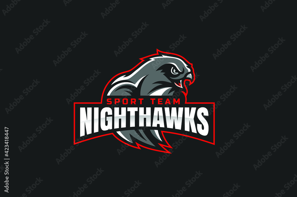 Nighthawks Logo