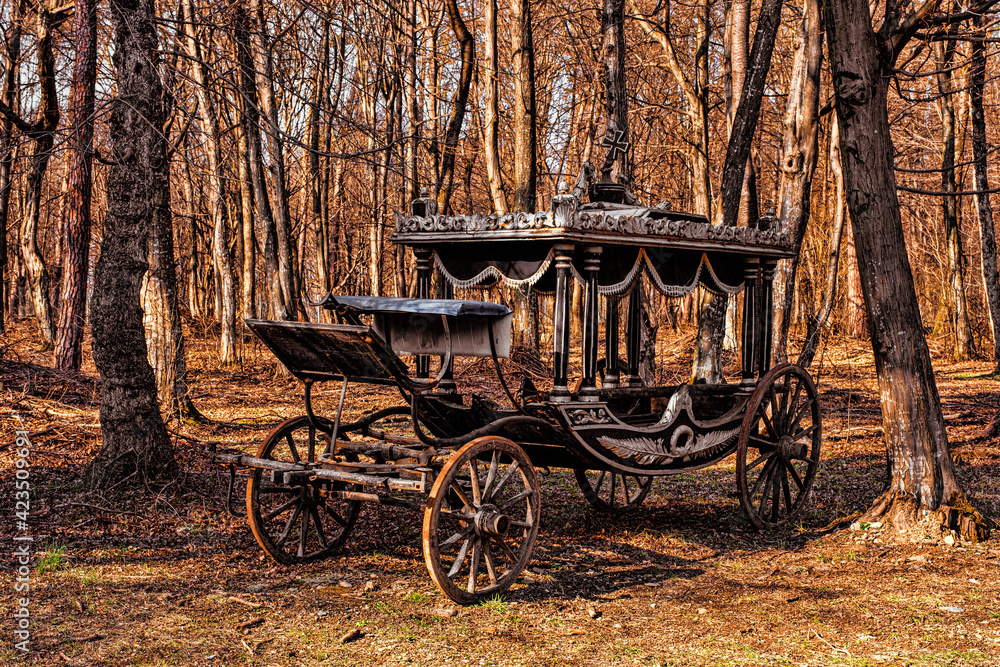 Classic funeral carriage with coffin abandoned in forest Stock Photo ...