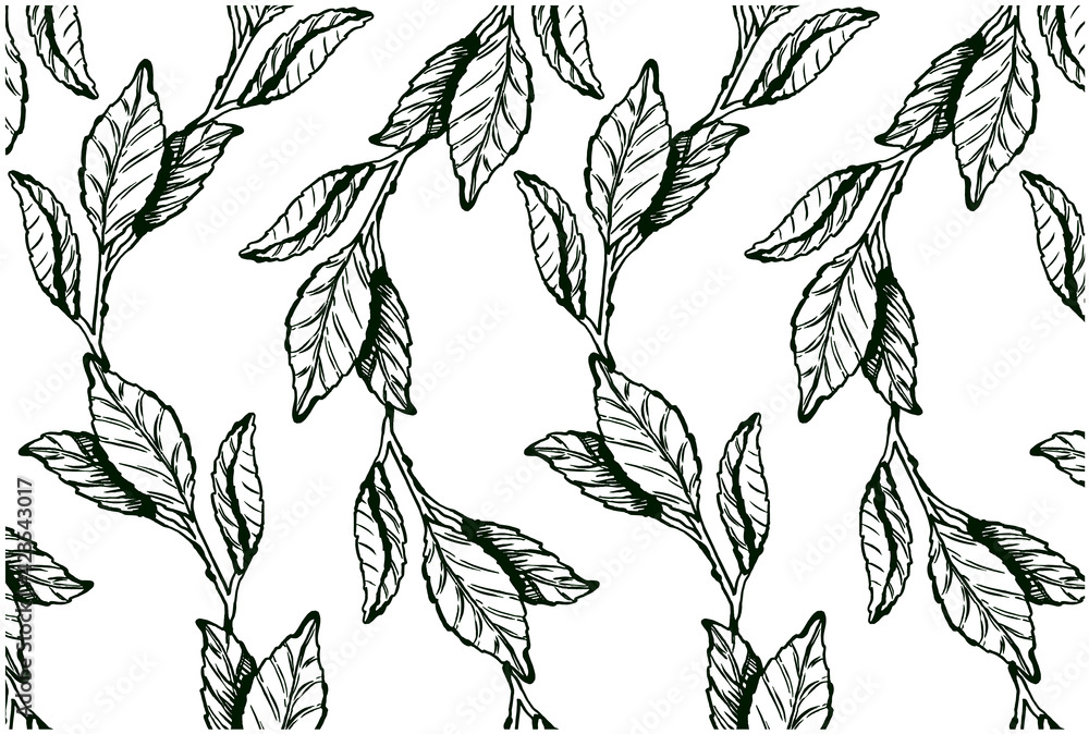 Engraved tea leaves pattern isolated on white background. Sketch hand ...