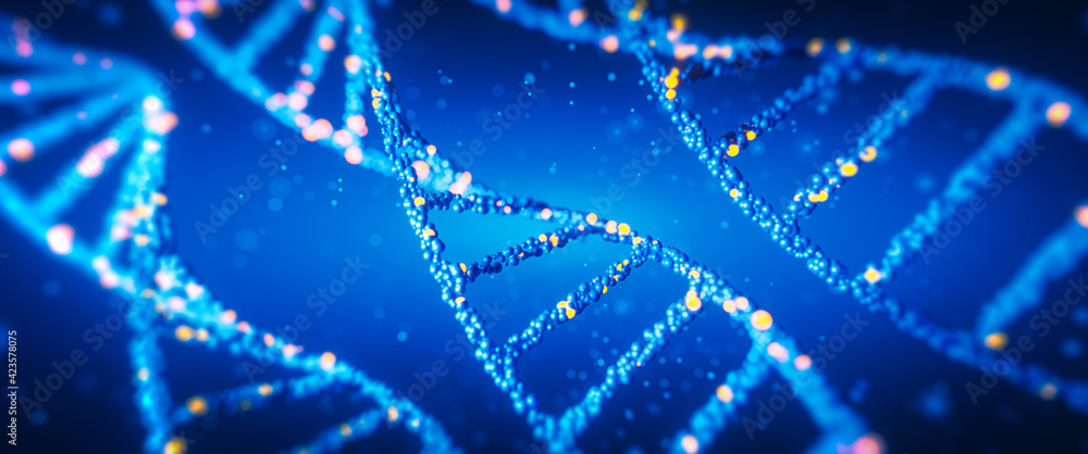 DNA digital. Study of gene structure of cell. Molecule structure ...