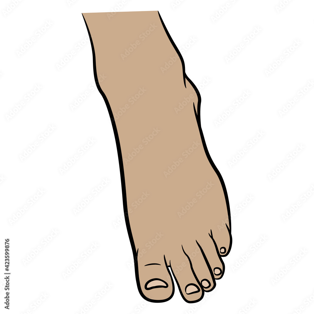 Bare human foot. Cartoon style. Stock Vector | Adobe Stock