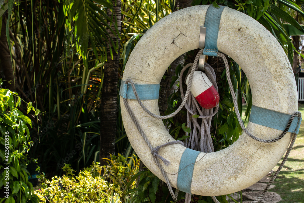 An old yellowed life preserver ring, or lifesaver with brown ropes and ...