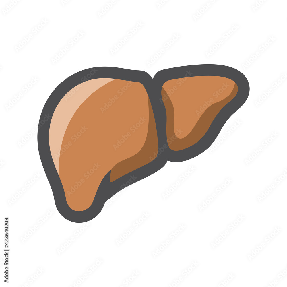 Realistic human liver Vector icon Cartoon illustration Stock Vector ...