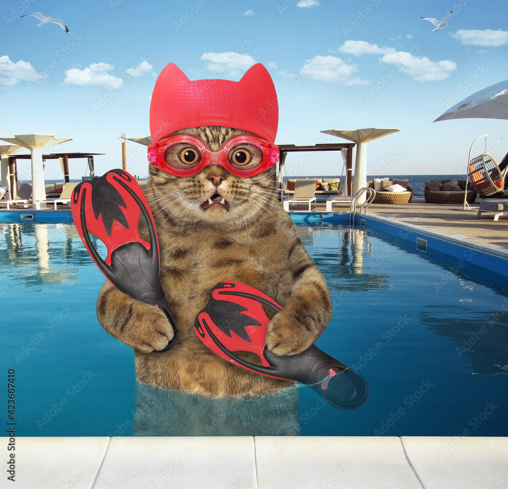 Cat With Goggles Swimming