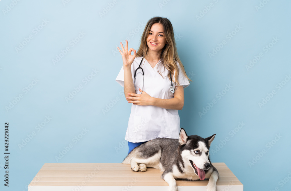 Veterinary doctor at vet clinic with Siberian Husky dog over isolated ...